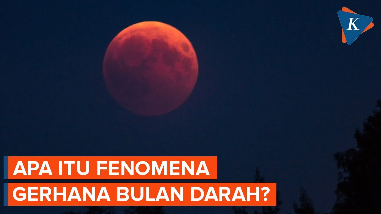 Siap-siap, Gerhana Bulan Darah Akan Sambangi Indonesia 27 Juli 2023 ...