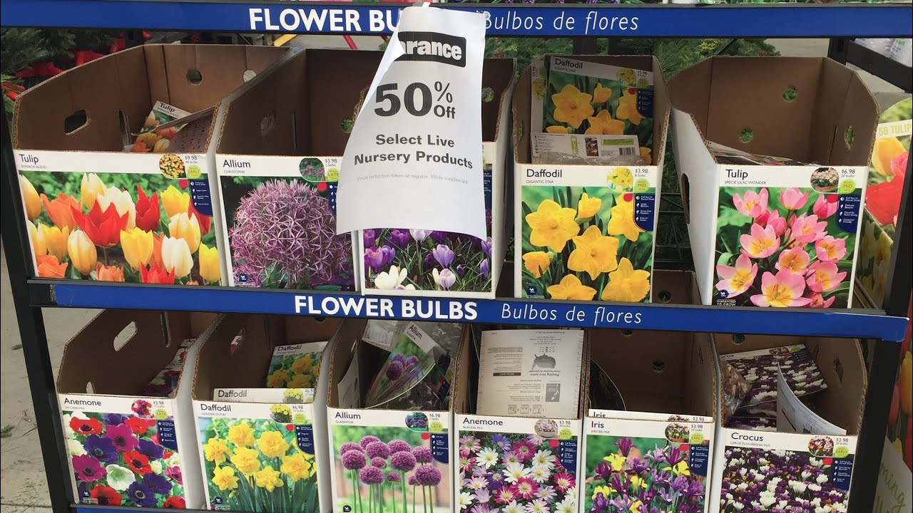 Planting CLEARANCE Bulbs 🌷🌼🌱 Fall Planting 🌼 Garden Tour - YouTube