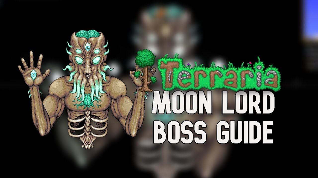 moon lord melee and ranger class guide - YouTube