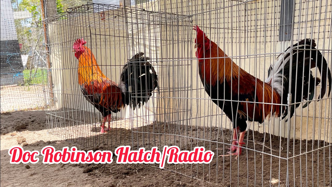 Radio/Doc Robinson Hatch - YouTube