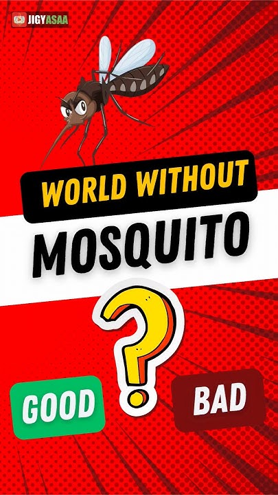 Imagine a World Without Mosquitoes 🤔🚫🦟 #shorts #trending | Jigyasaa ...