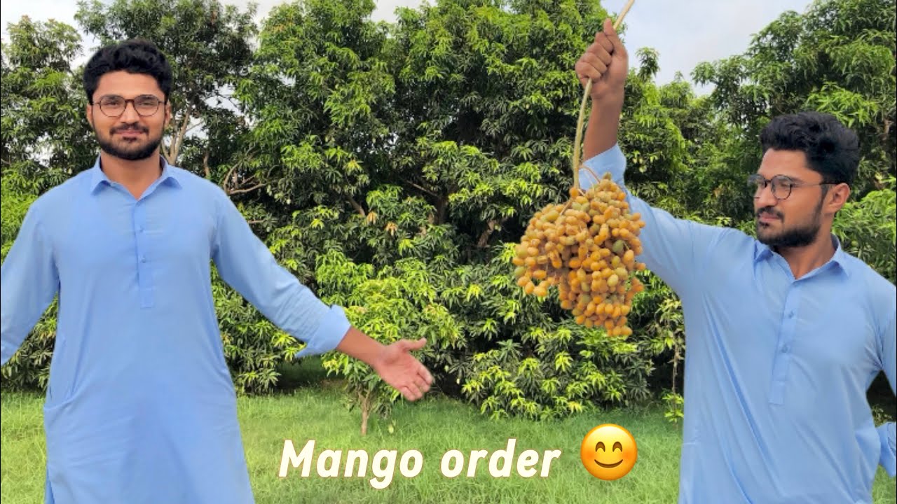 Lahore sa aya mango order 🥰😍 Rasty Mn mila khajoor wala Baba g 😮🤔 ...