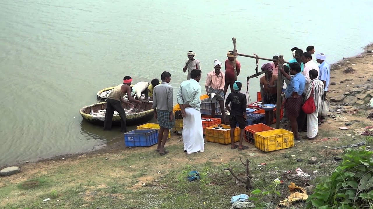 Fish Farming in Karnataka - YouTube