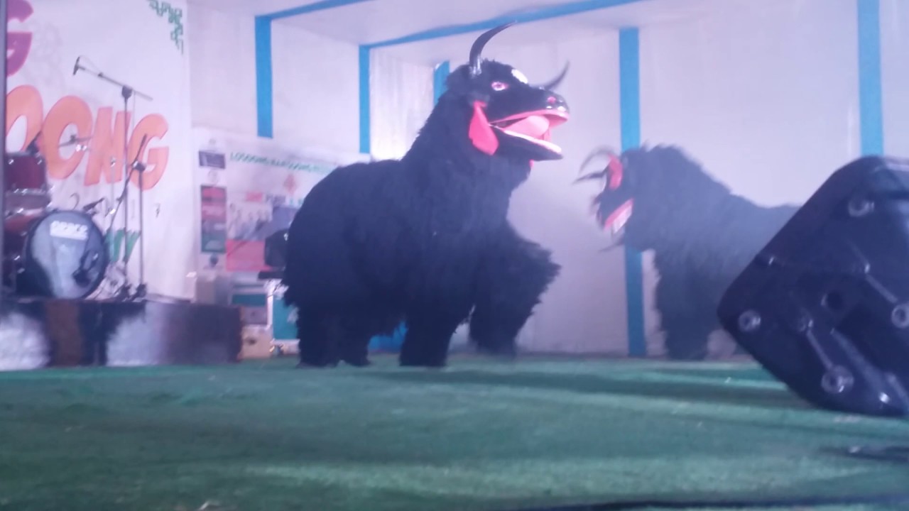 The Yak Chaam (Dance ) of Sikkim - YouTube