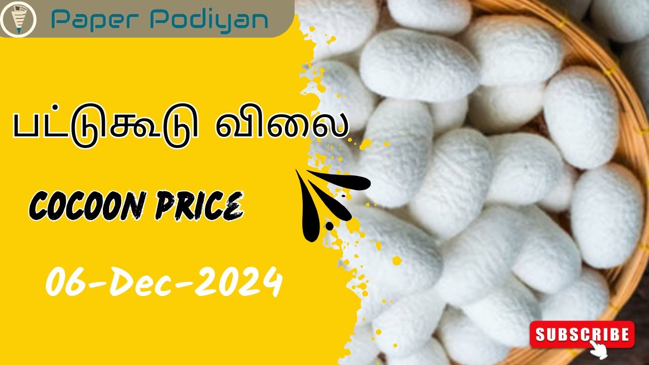 Mulberry Cocoon Price-06-12-24 #mulberry #cocoonmarkets #cocoon # ...