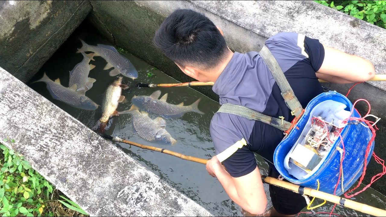 Awesome Fish Hunting in Drain! Best Electronic fishing | Use Electric ...