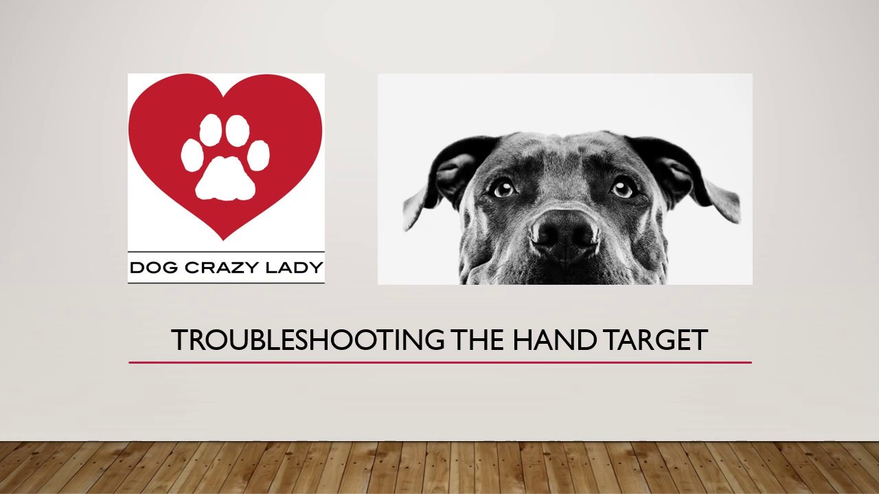 Hand Target - Troubleshooting - YouTube