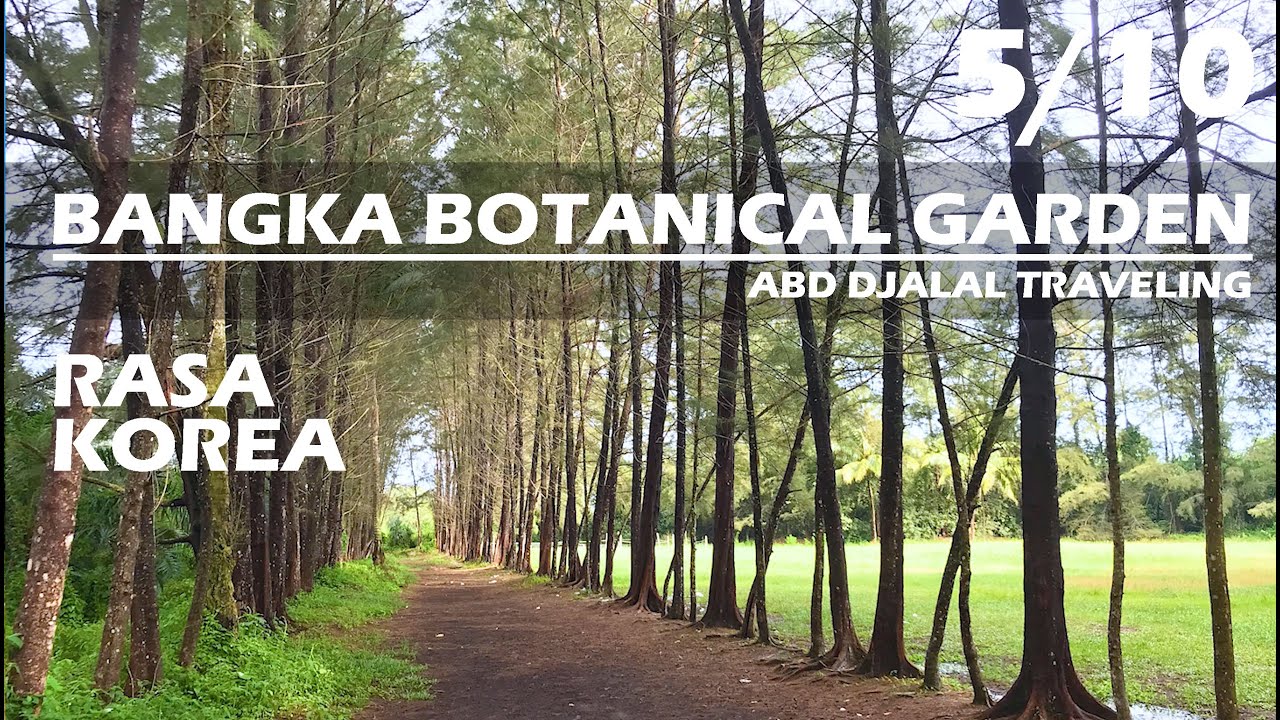 BANGKA BOTANICAL GARDEN | RASA KOREA | AGROWISATA BANGKA (5/10) - YouTube