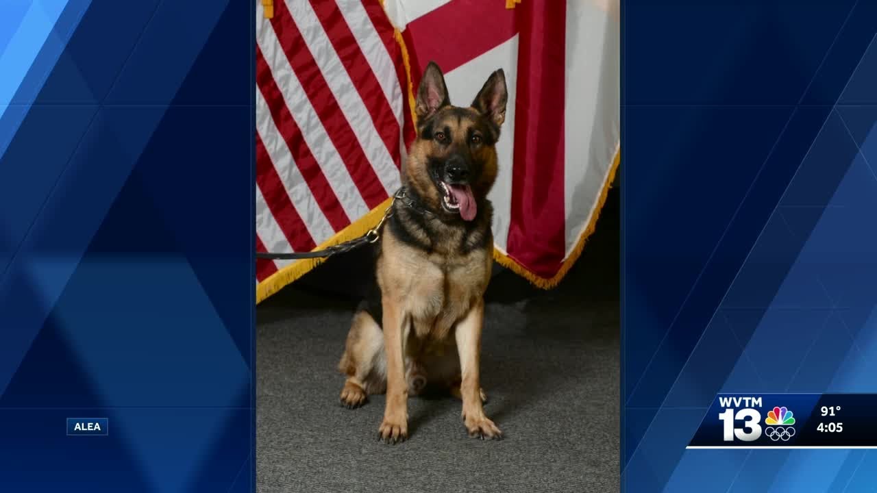 ALEA K-9 officer passes away - YouTube