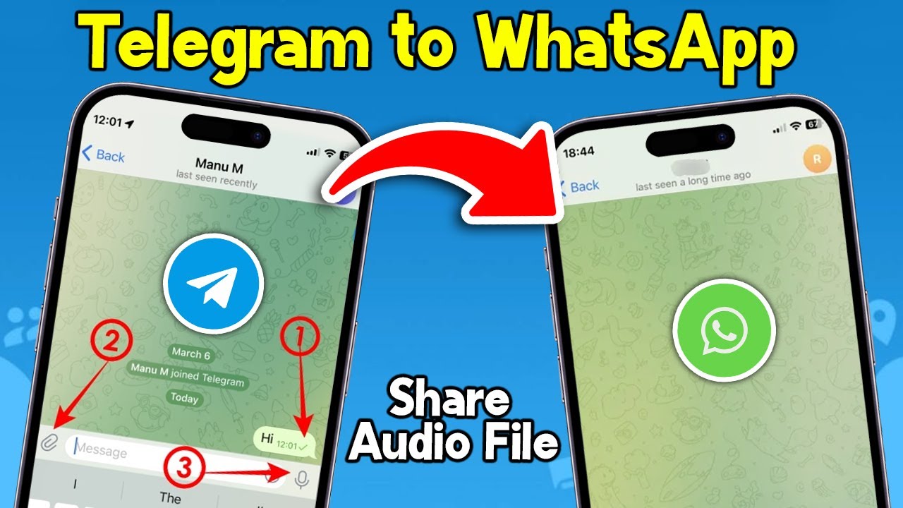 How To Share Audio File from Telegram to WhatsApp in iPhone - Full ...