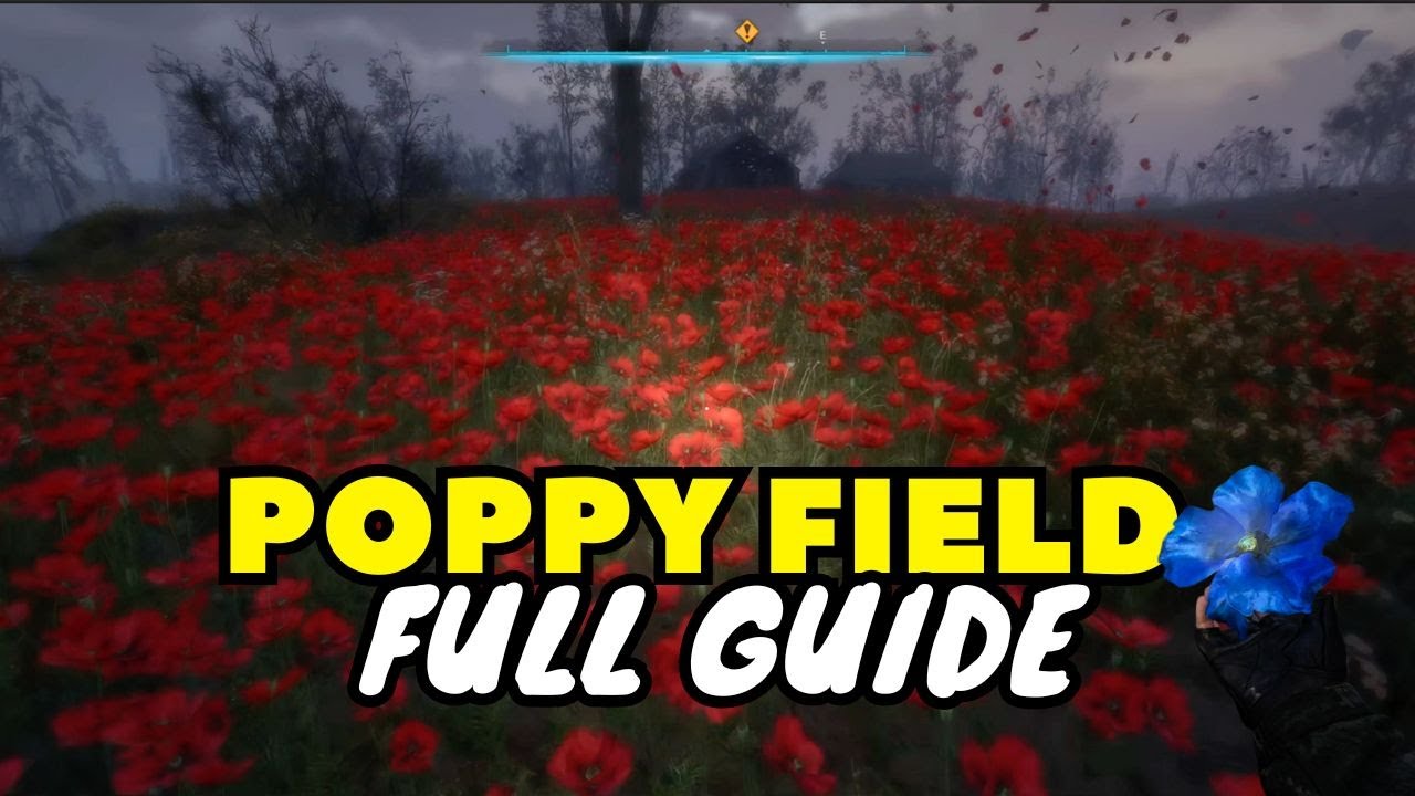 How to get the ARTIFACT in the POPPY FIELD I FULL GUIDE - YouTube