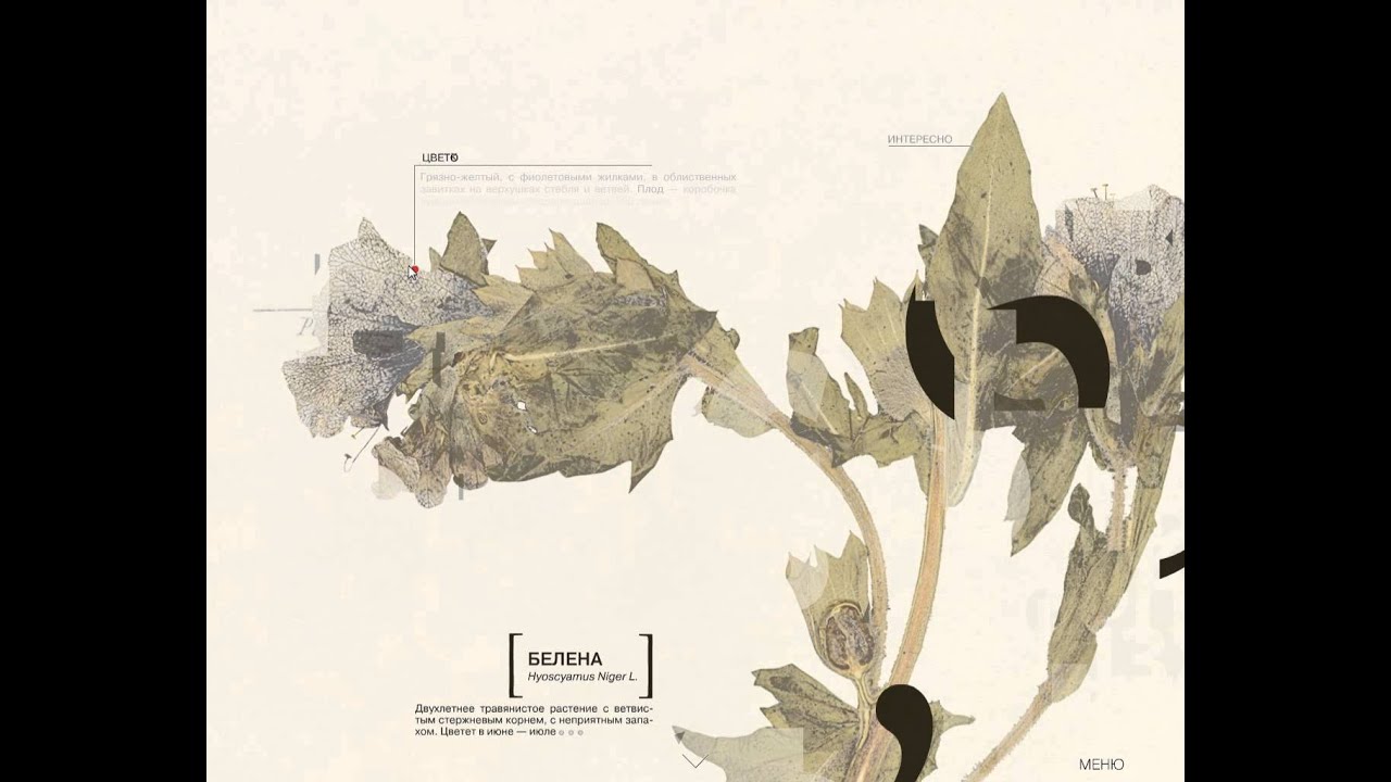 Collection. Legendary Plants - YouTube