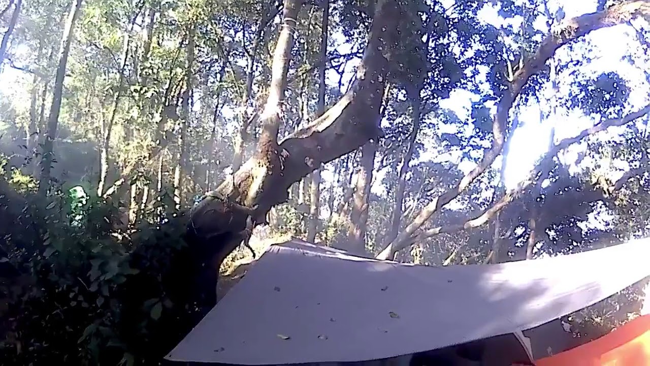 Gunung Puntang (Puncak Mega 2223mdp) - YouTube