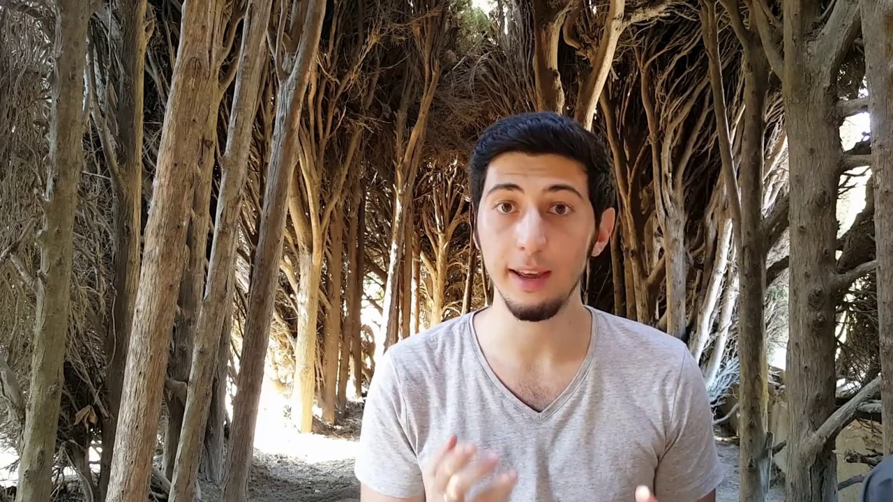 Ali Oğulcan Dülger #fellow2017 - YouTube