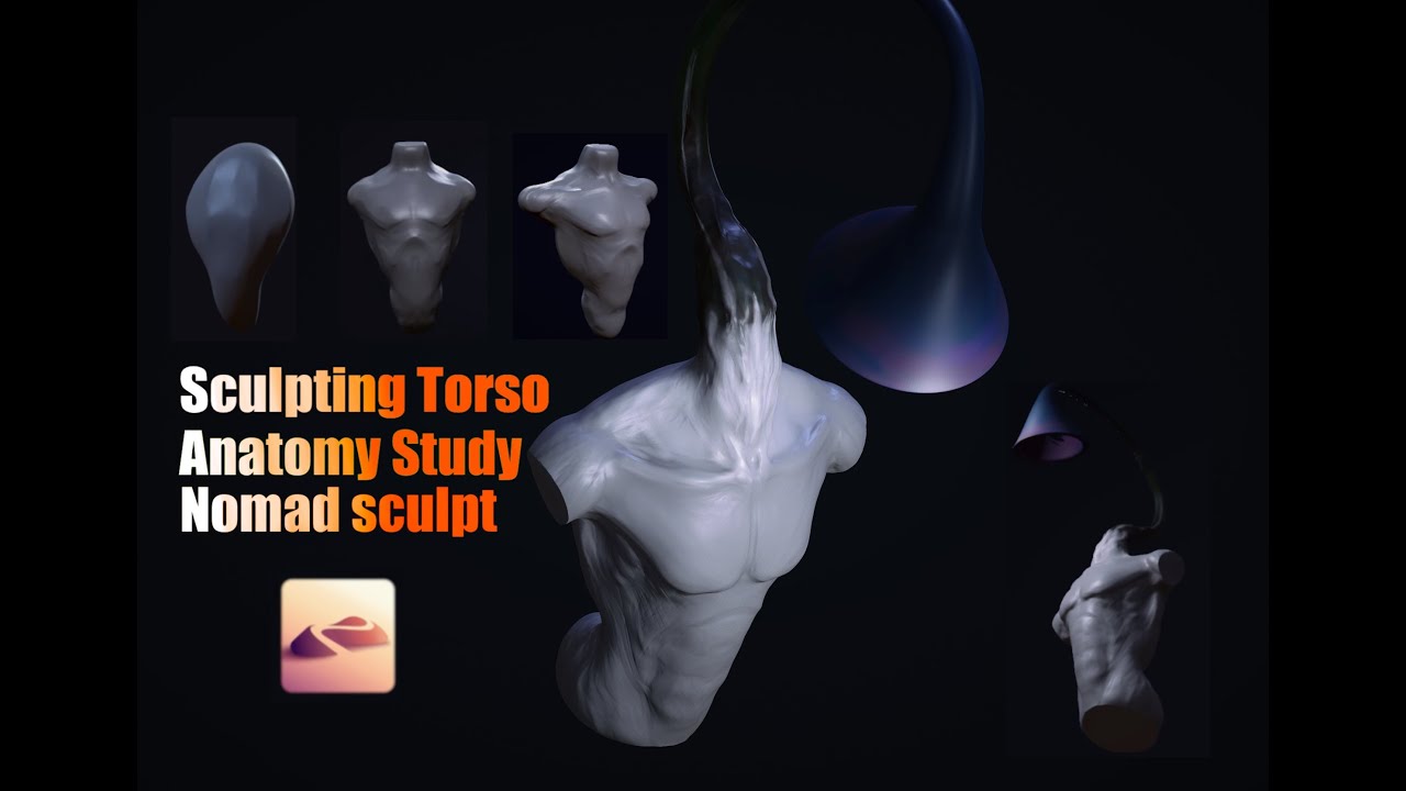 Nomad Sculpt : Anatomy Study | Sculpting Torso | IPad Pro - YouTube