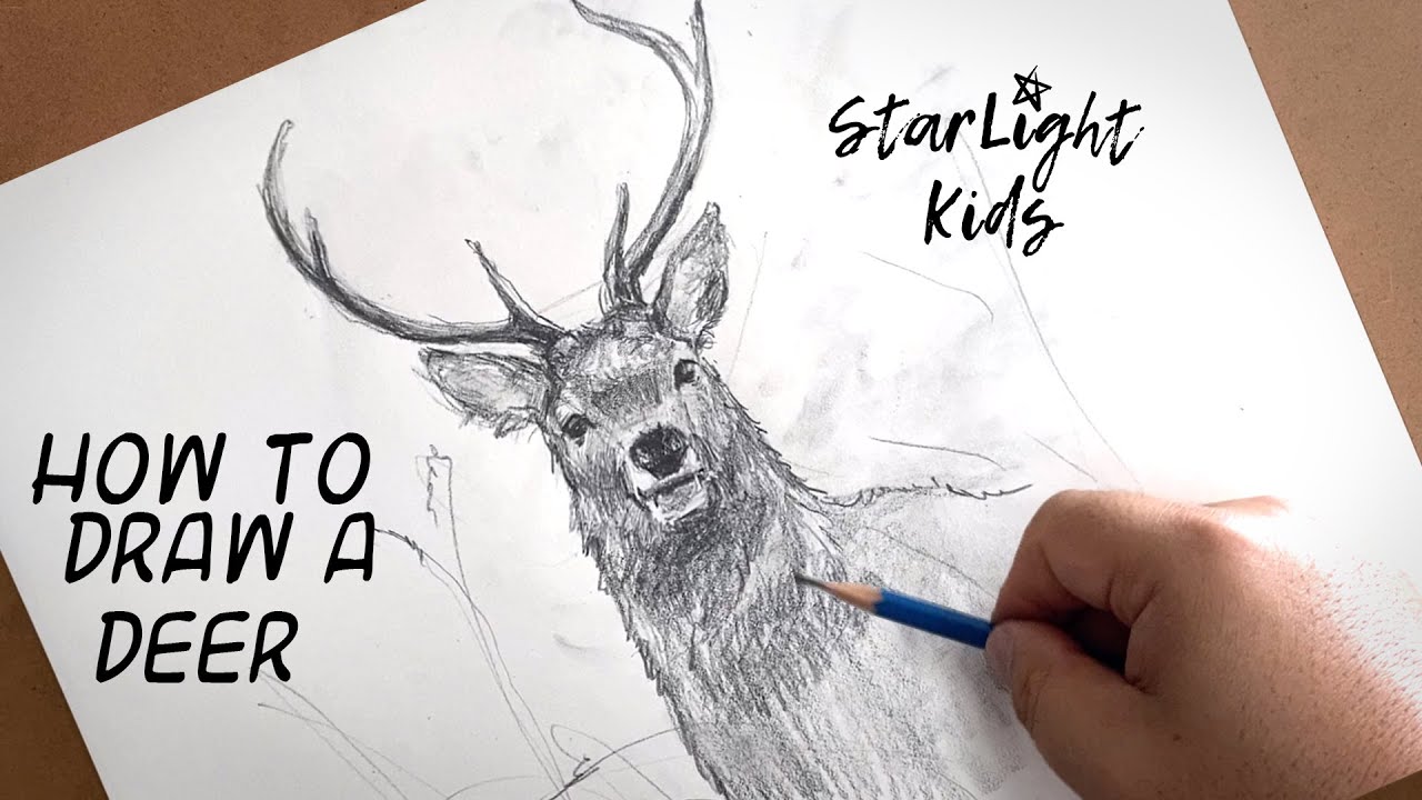 Red Deer Drawing | How to Draw a Red Deer with Antlers | Pencil Sketch ...