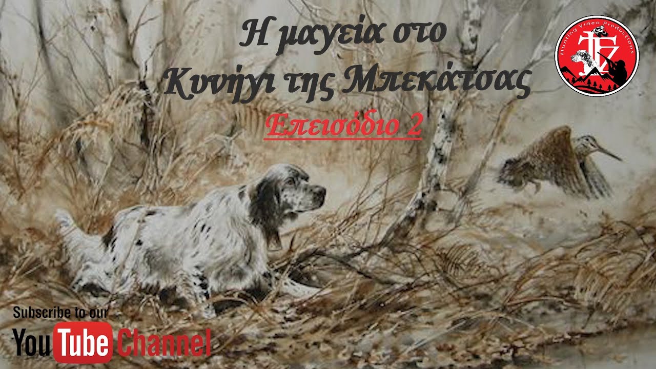 Η Μαγεία στο Κυνήγι της Μπεκάτσας.(ΕΠΕΙΣΌΔΙΟ 2)/Μagical woodcock Hunts ...