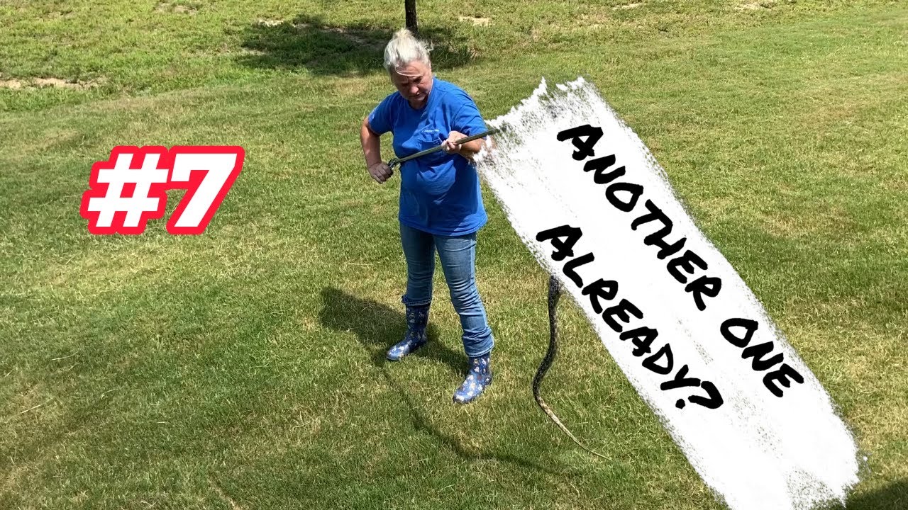 Not Another One!!! - YouTube