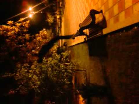 Celilabad.3gp