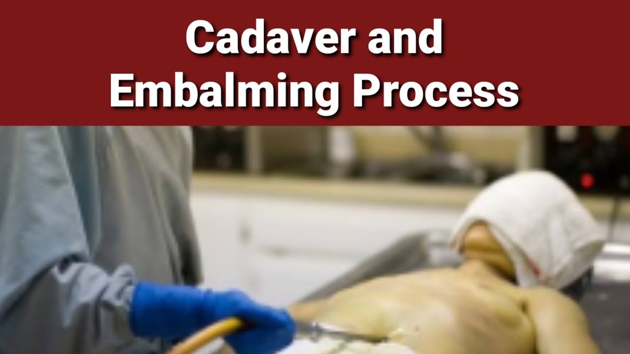 Cadaver is Your first teacher for Anatomy, MBBS 1st Prof. - YouTube