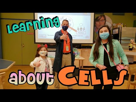 Learning about cells - YouTube