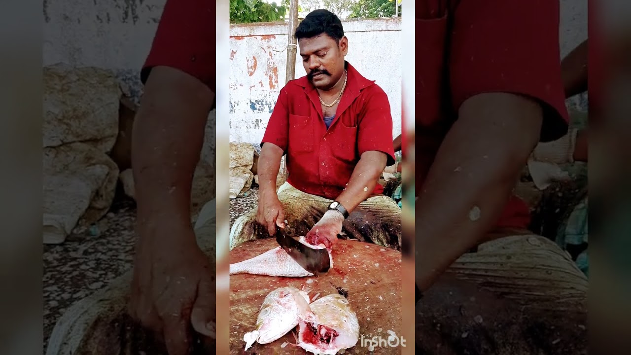 #Kasimedu Selvam#Speed Cutting Korukkai Fish#Under water - YouTube