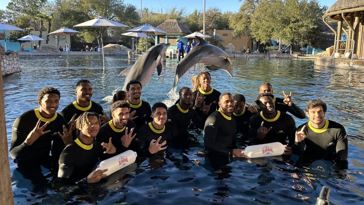 SeaWorld San Antonio hosts players from University of Texas and ...