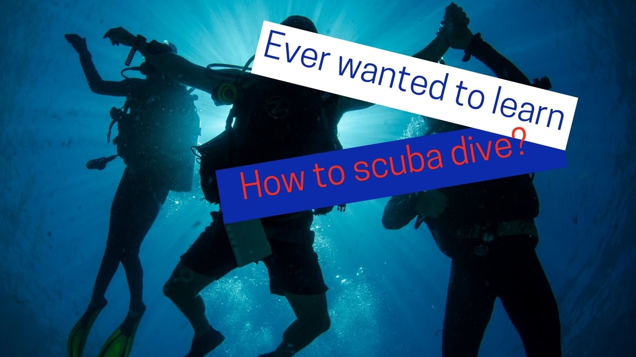 Learn to Dive with Divers Den in Cairns - YouTube