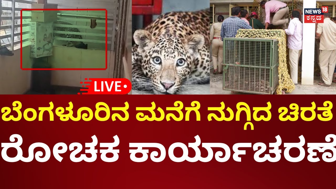🔴LIVE: Leopard Rescue In Bangalore | ಮನೆಗೆ ನುಗ್ಗಿದ ಚಿರತೆ ಹಿಡಿಯಲು ...