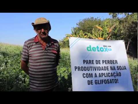 PROGEN DETOX BR DA TIMAC AGRO! ANTONIO JUNG - FLORESTA - PR - YouTube