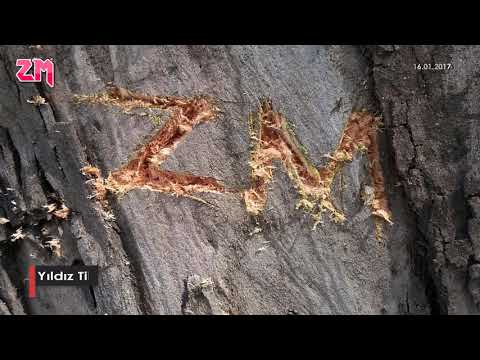 Yıldız Tilbe  - Kafam Hafif Dumanlı
