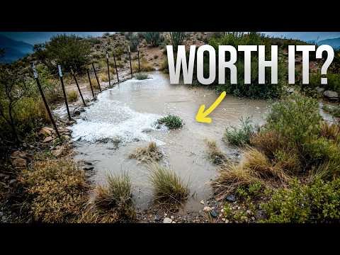 I Built Desert Beaver Dams 5× Faster. Are They Worth It?