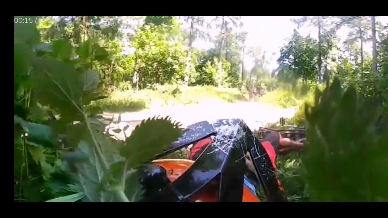 a damn good thrashing from my son & Fresh Nettles - YouTube