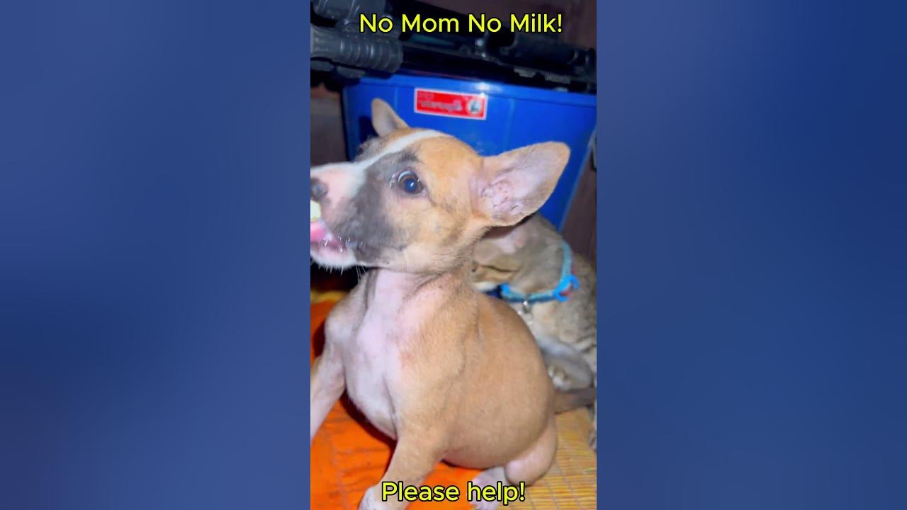 0403 1 052 - YouTube