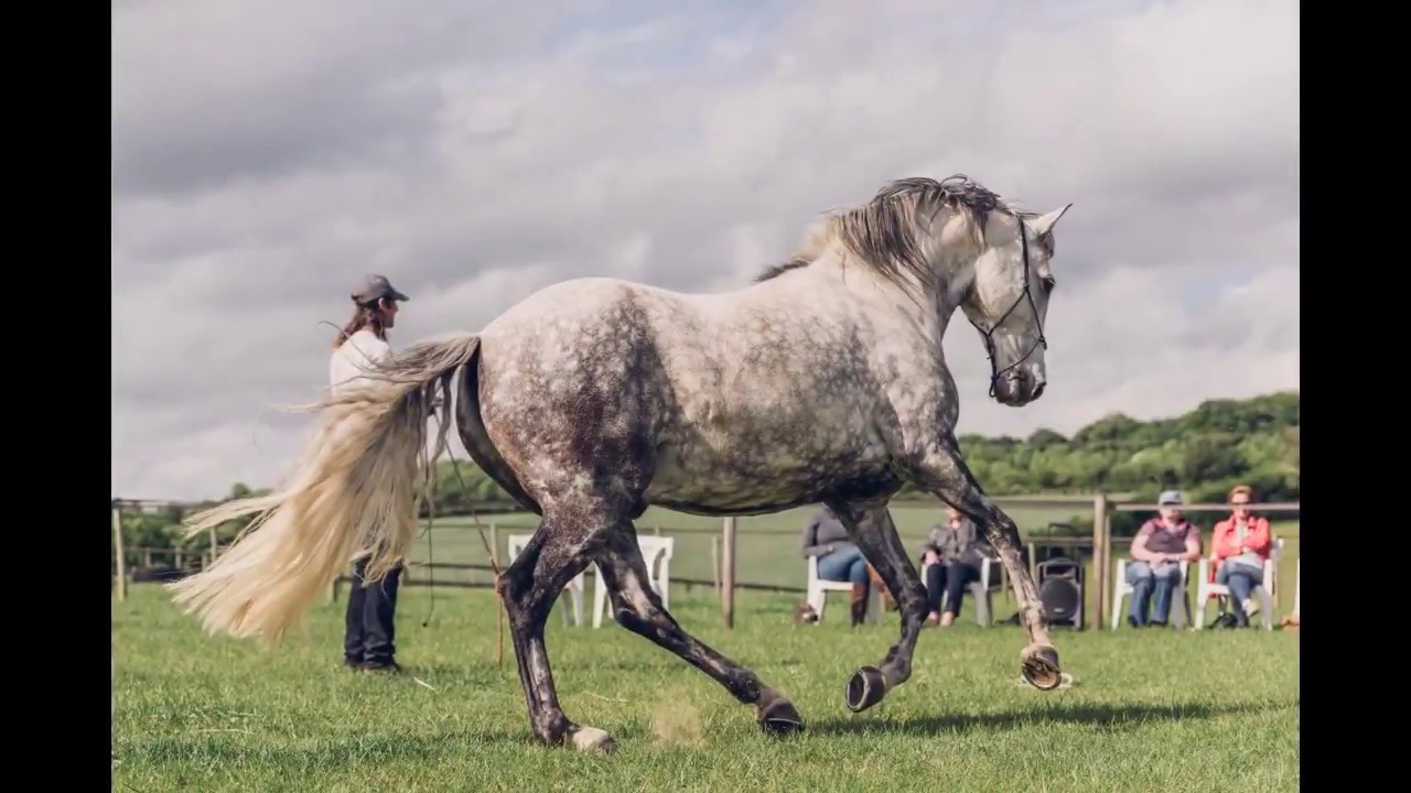 Frédéric Pignon @Magali Delgado Magali Delgado Frédéric Pignon la pass ...