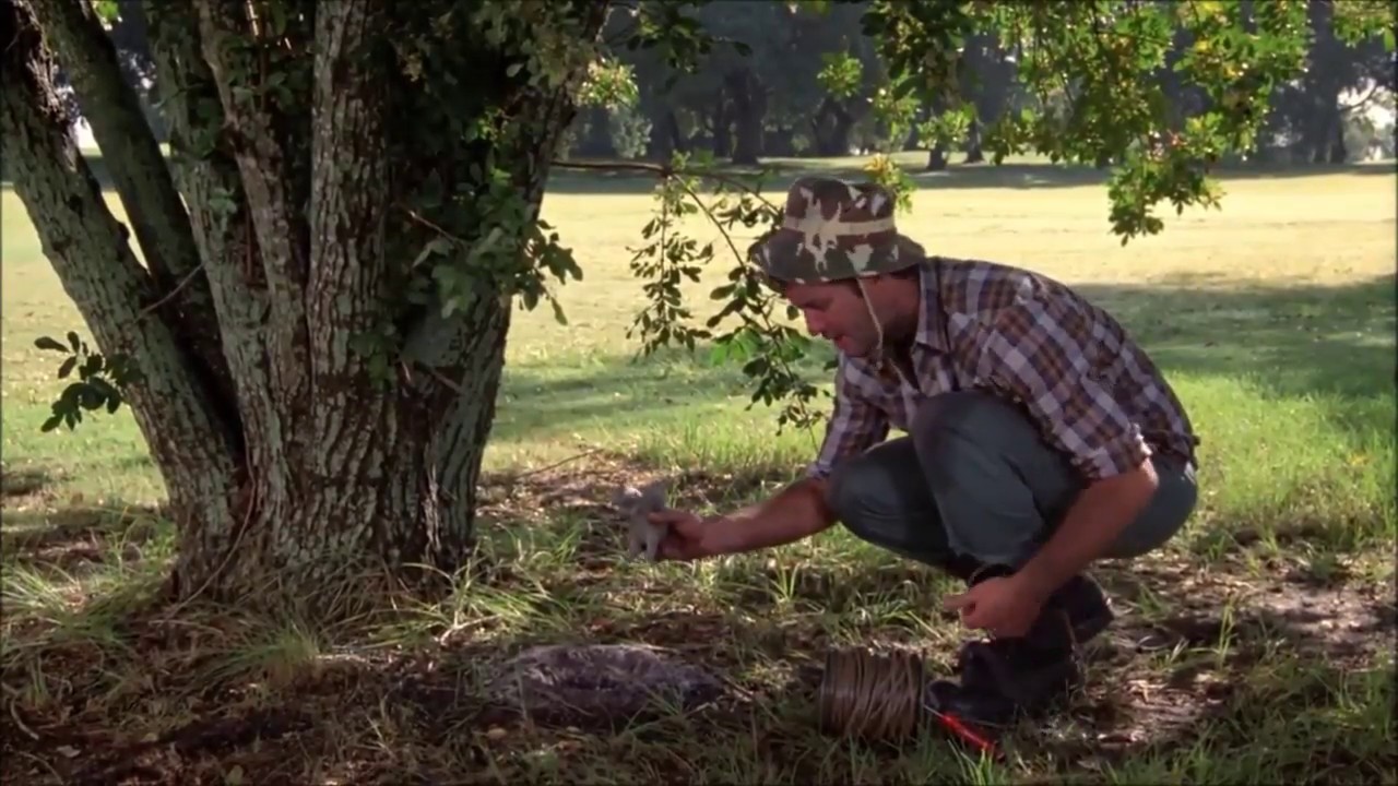 Bill Murray Caddyshack Gopher