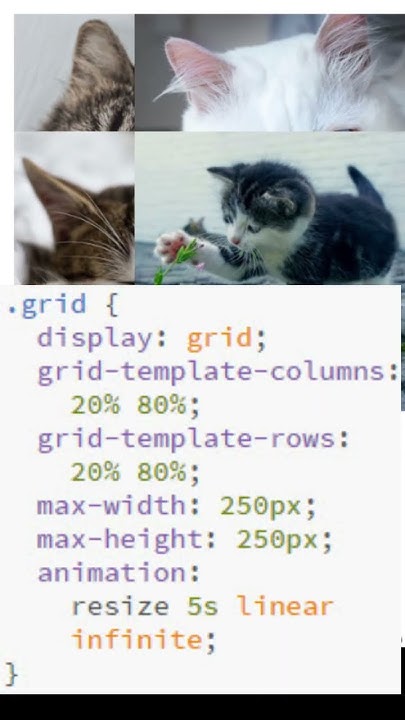 CSS animated grid rows and columns - YouTube