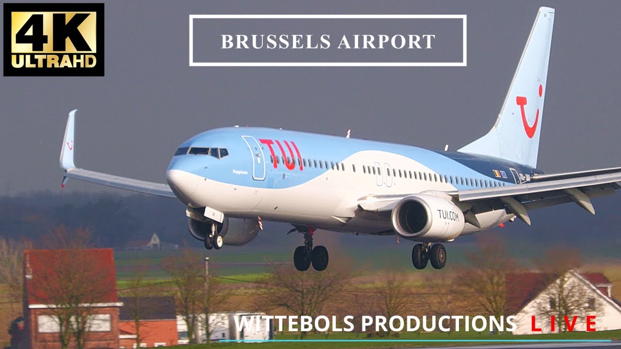 🔴LIVE 4K PLANE SPOTTING BRUSSELS AIRPORT EBBR | 15/02/2023 - YouTube