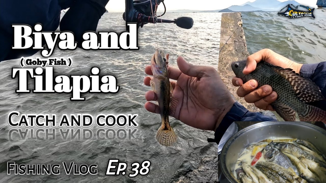 Biya or Goby fish and Tilapia Catch and cook | Fishing vlog Ep.38 - YouTube