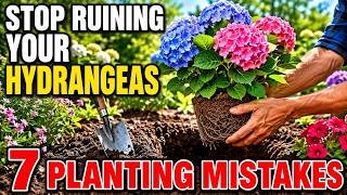 STOP RUINING YOUR HYDRANGEAS — 7 PLANTING MISTAKES TO AVOID
