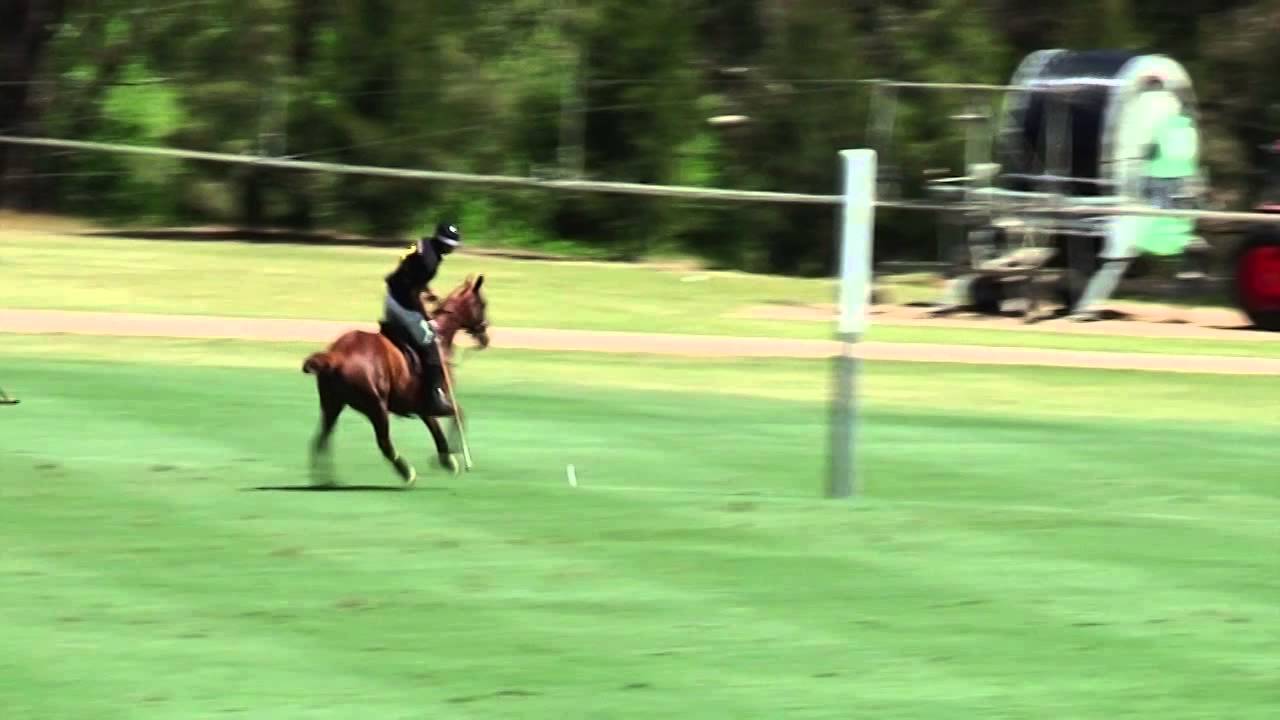 Garangular Polo Club Spring Tournament Highlights 2014 - YouTube