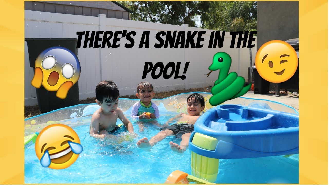 THERE'S A SNAKE IN OUR POOL! SUMMER FUN IN THE SUN! - YouTube