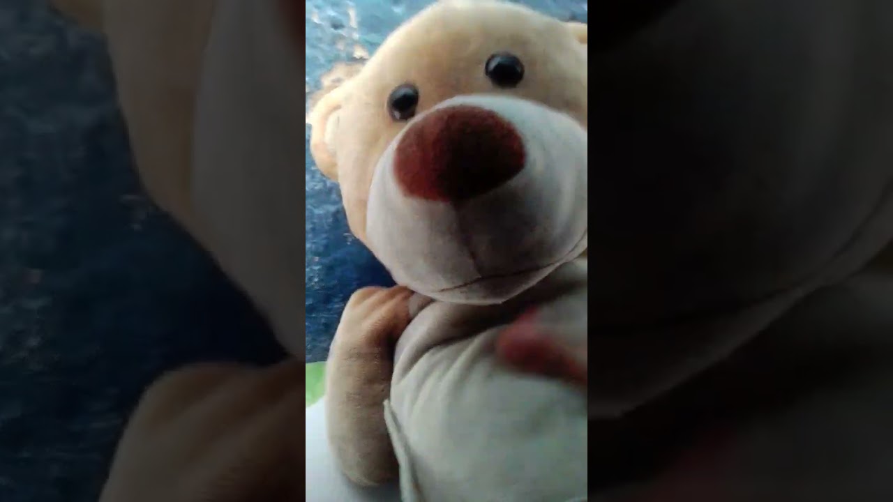 seiso CACA EL OSO - YouTube