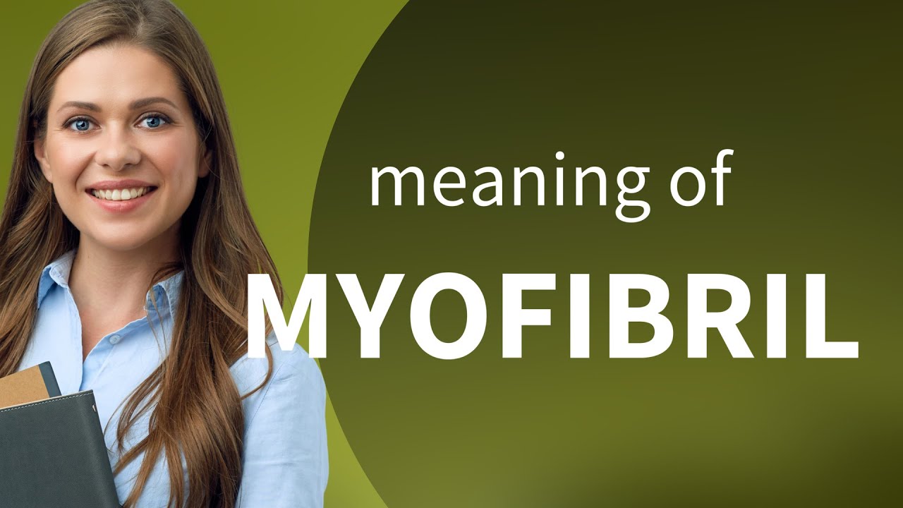 Myofibril — meaning of MYOFIBRIL - YouTube