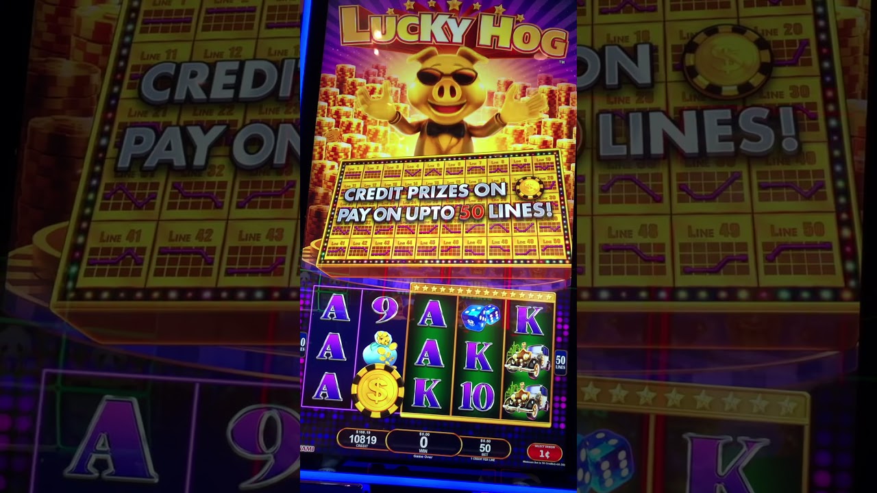 Lucky Hog Slot Machine - YouTube
