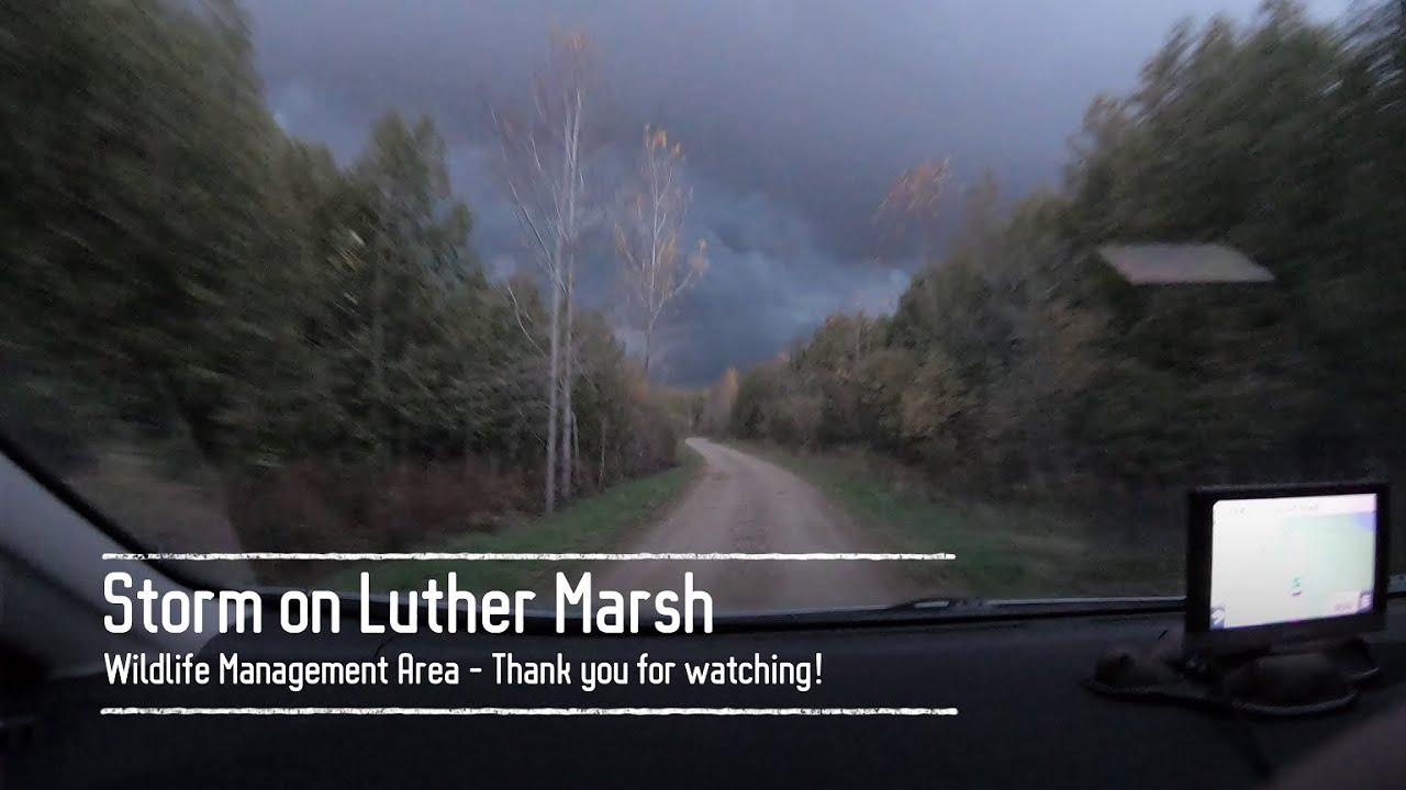 Exploring the Grand River, Kayaking Luther Marsh Wildlife Management ...