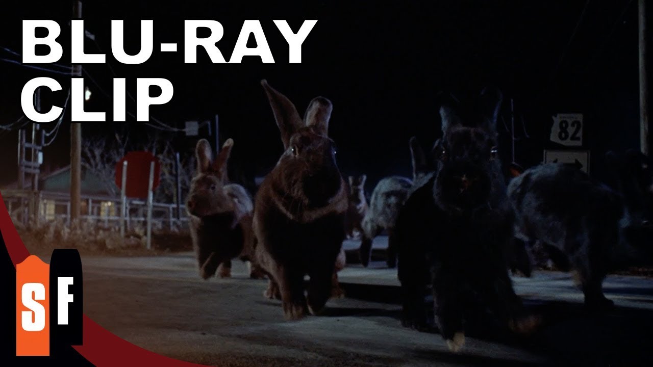 Night Of The Lepus