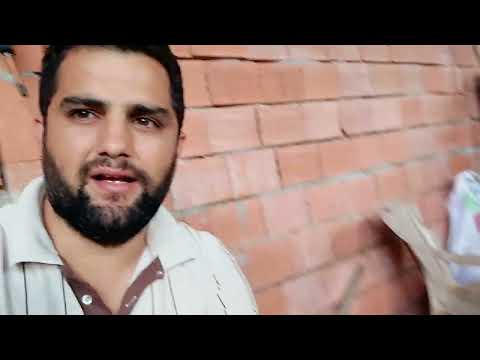 süt sağım zamanı ziyarete gelen kediler