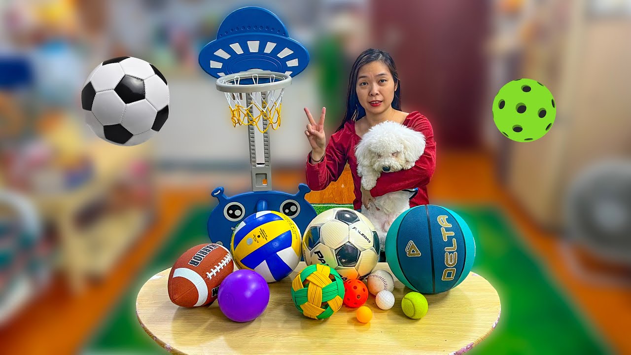 Finding and Naming Sport Balls Compilation 🎾⚽ Learn Sport Ball Names ...