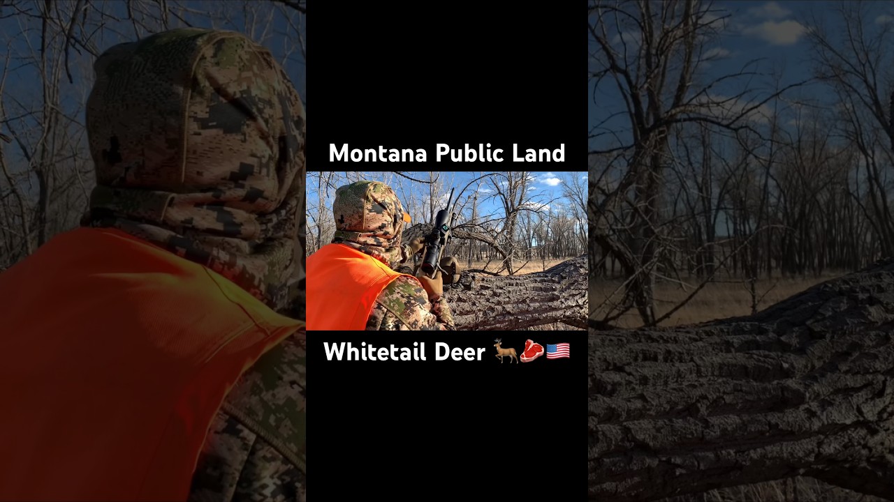 Whitetail Deer Tastes Better Than Mule Deer 🤷🏻‍♂️🤤🥩 - YouTube